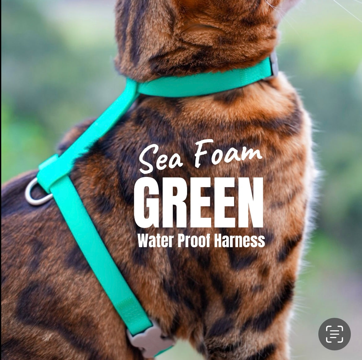Waterproof Harnesses – SurferCat